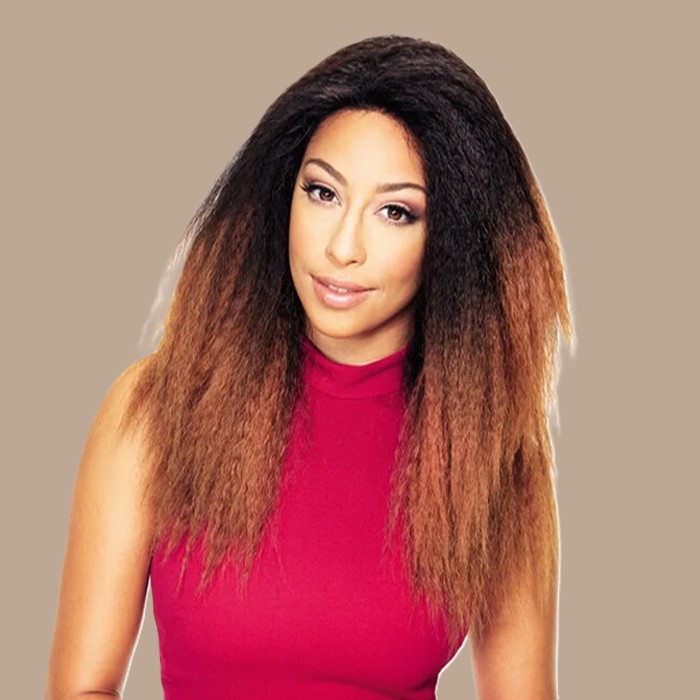Abiola Fashion Idol 101 Lace Front Wig